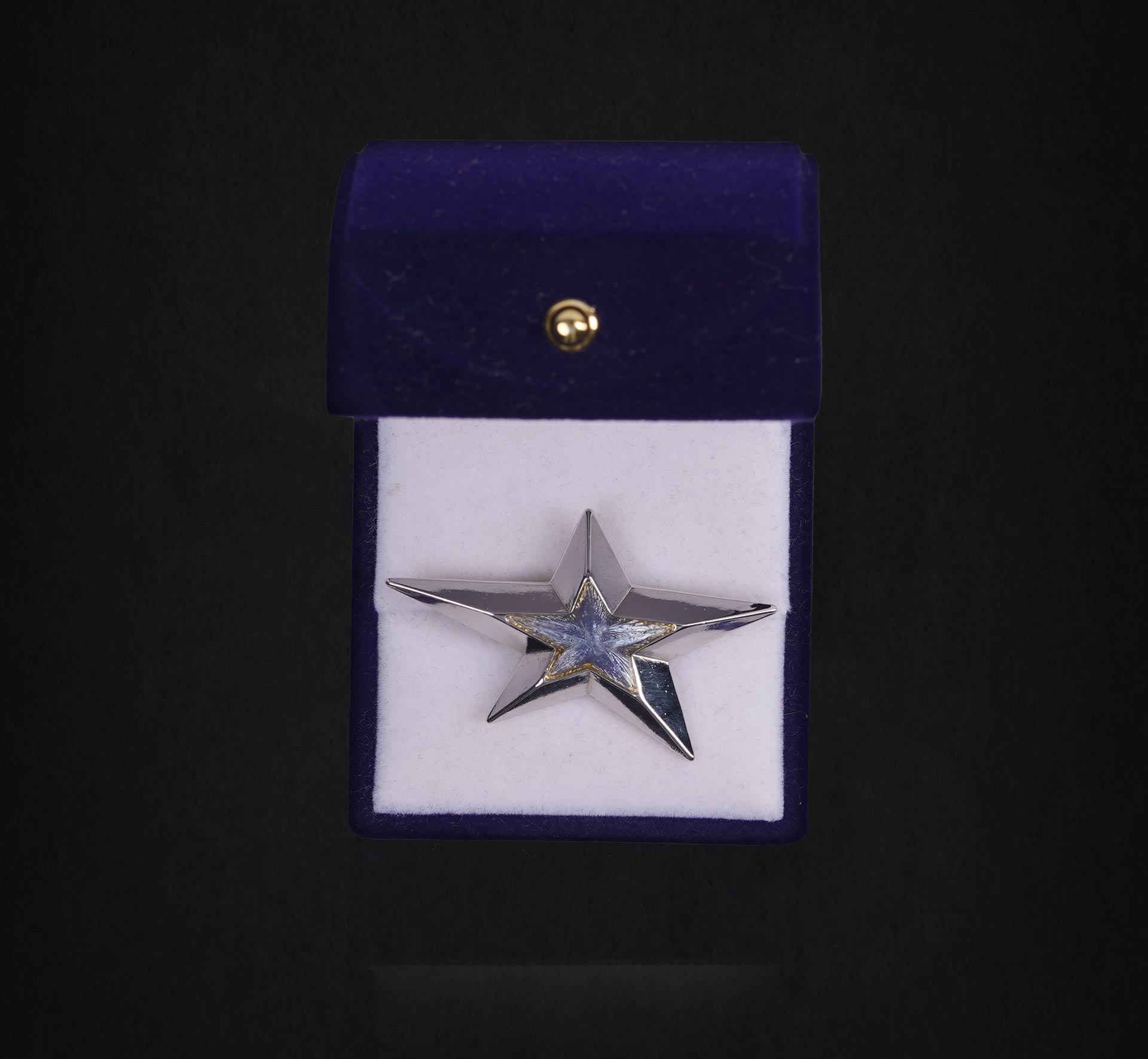 SILVER-STAR LAPEL PIN – ORANGESQUARE